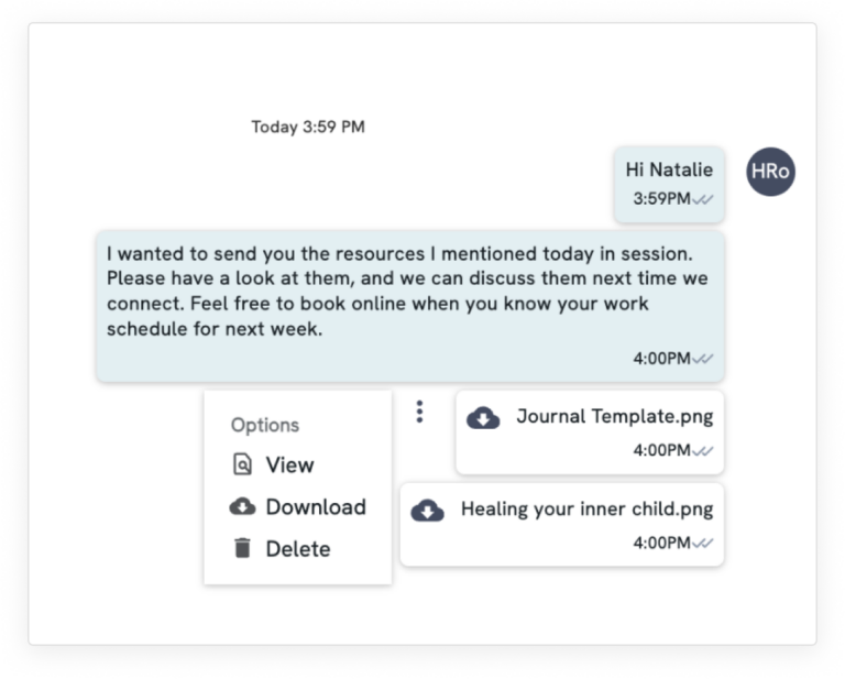 Secure Messaging for Therapists with Owl Practice Suite