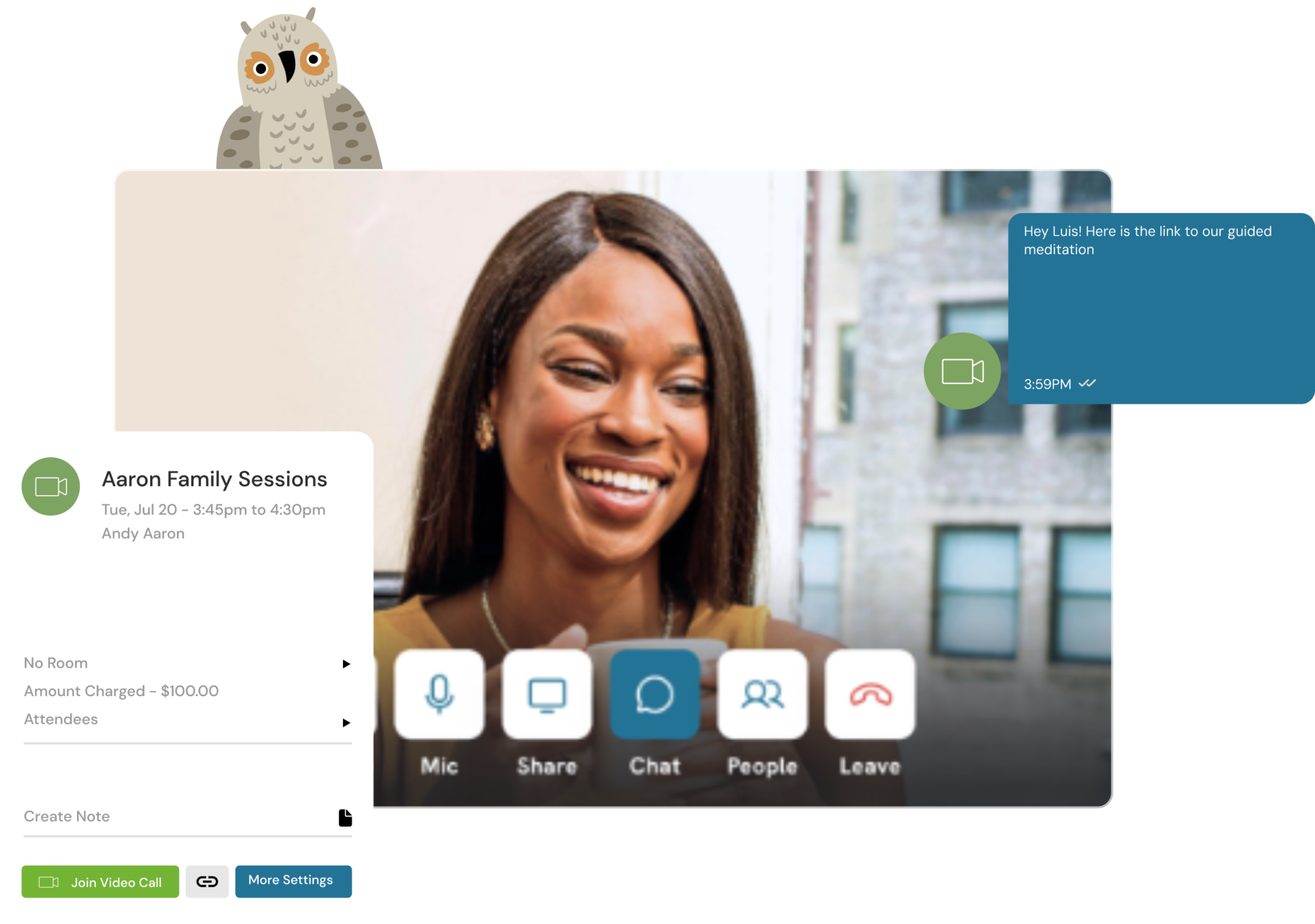 Conduct Secure Telehealth Video Sessions with Owl Practice Suite